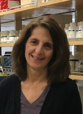 Lab members | The Goldberg Lab | Washington University in St. Louis
